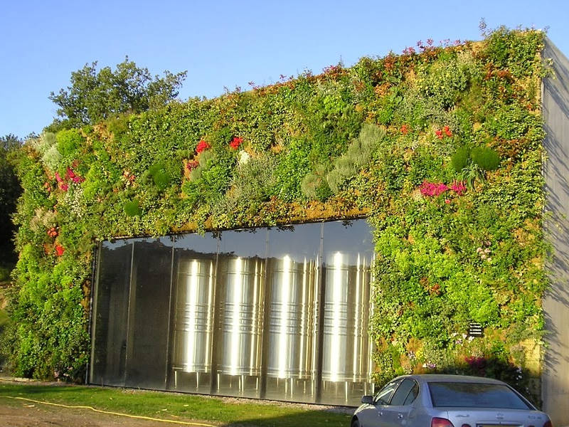 Le mur végétal, la solution déco et bien-être pour votre intérieur